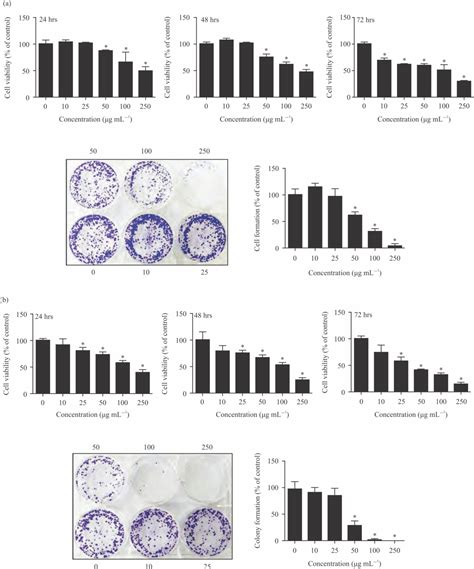 Growth Inhibition Apoptosis Induction And Migratory Suppression By