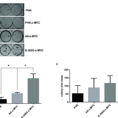 Colony Formation Potential Of Hpv 16 Immortalized And C Myc