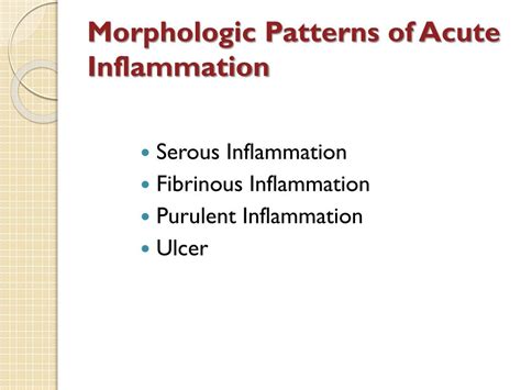 Ppt Inflammation Powerpoint Presentation Free Download Id 2259606