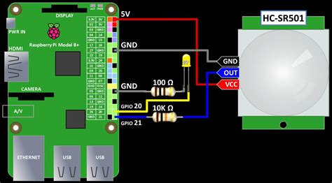 using a motion detector on raspberry pi rototron