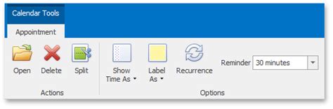 ribbon ui winforms controls devexpress documentation