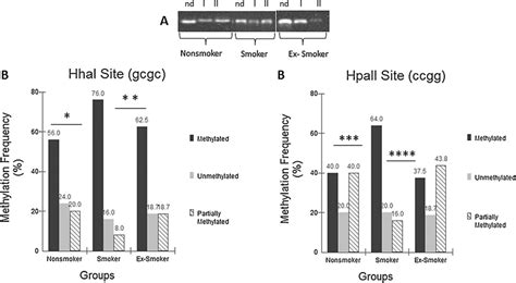 Methylation Analysis Of The Mlh1 Gene Promoter In Oral Epithelial
