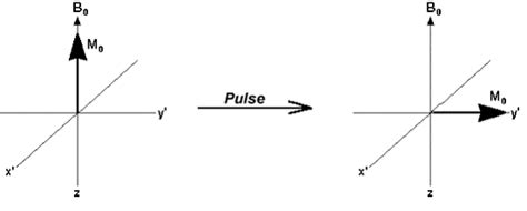 Principles Of Nmr Nmr Testing Laboratory
