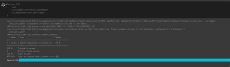 nlp pytorch lightning isn t start fit at local environment stack