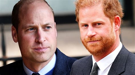 Prince Harry Maccallumbuddy