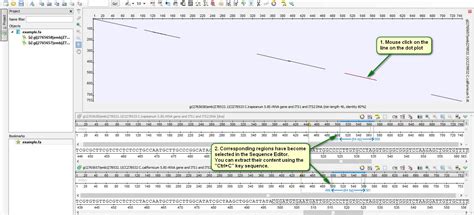 multiple sequence alignment colors and dot plots unipro ugene