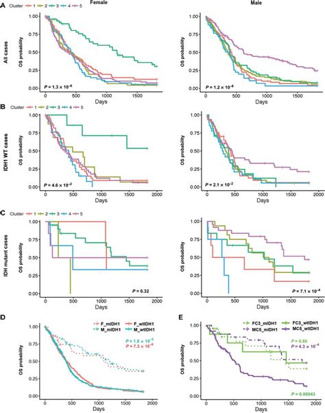 sex differences in gbm revealed by analysis of patient imaging