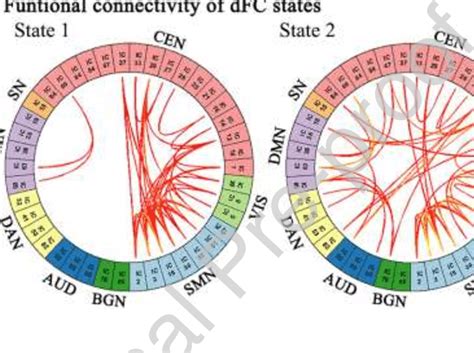 two dynamic functional connectivity dfc states a the dfc states