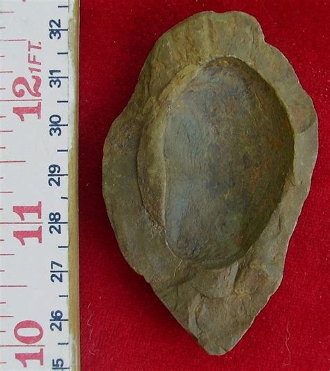 Archaic Native American Artifact Boat Stone Atlatl Weight Etsy