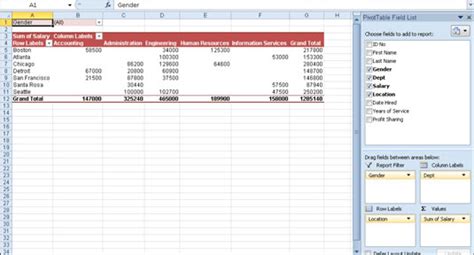 pivot table tools excel 2010 decorations i can make