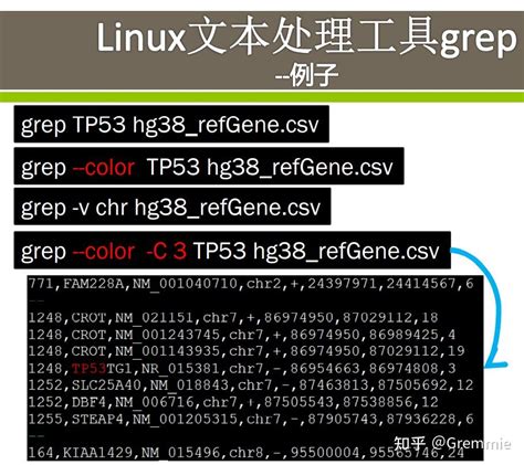 Linux文本处理工具 Awk Sed Grep等 知乎