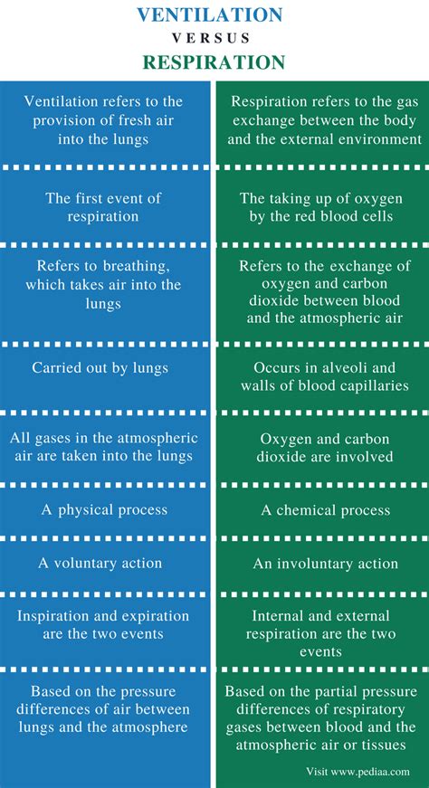 Difference Between Ventilation And Respiration Definition Process Role