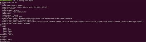 unable to login as user to a copied container lxc linux