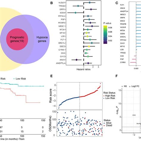 Identification Of Hypoxia Related Candidate Genes A Venn Diagram To