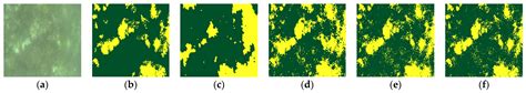 remote sensing free full text automatic semantic segmentation of