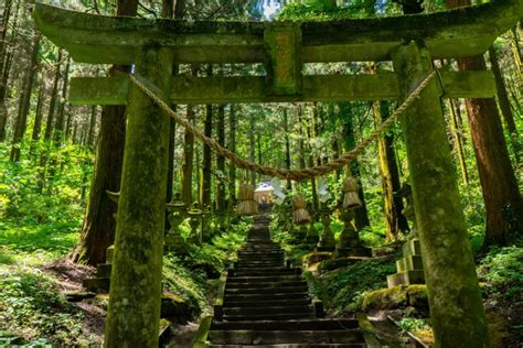 熊本で人気のパワースポット神社10選！恋愛や金運アップなど開運ご利益まとめ ご利益ちゃんねる