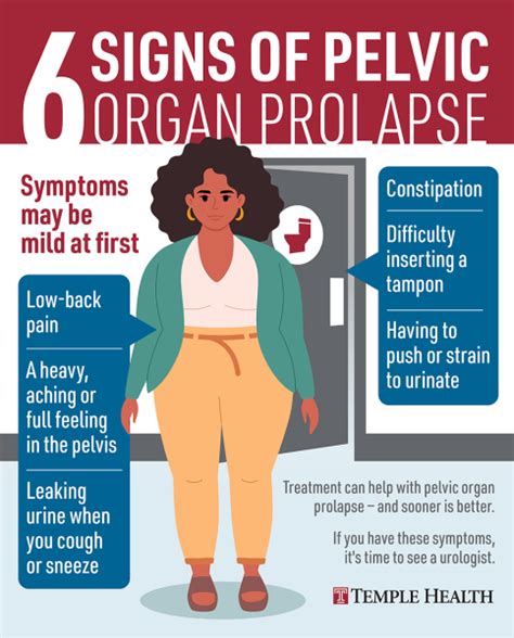 Pelvic Organ Prolapse Symptoms And Treatment Options Temple Health