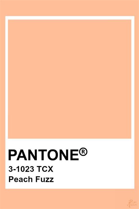 Peach Fuzz Pantones 2024 Color Of The Year That Awakens Tenderness