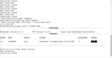 javascript web sockets doesnt work after uploading files on hosting