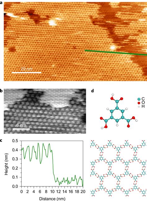 Heterostructures Of Cam And Tma A The Large Area Afm Image Shows A