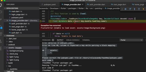 flutter asset image not found stack overflow
