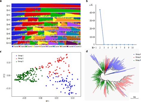 Population Structure Pca And Phylogenetic Tree Of The Core Collection