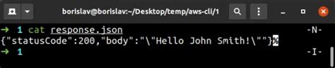 invoke lambda functions with aws cli complete guide bobbyhadz