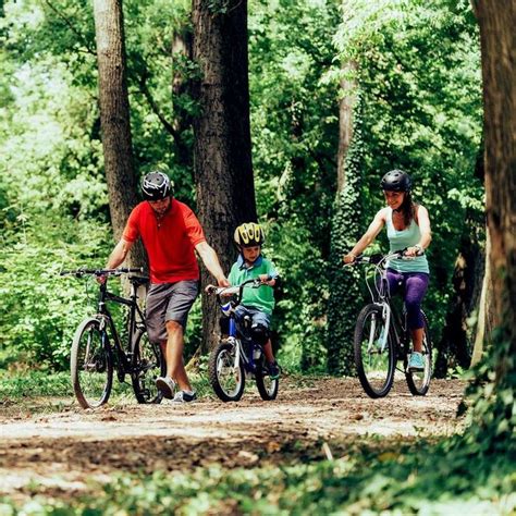 Balade à Vélo Dans La Forêt De Bouconne Foret Balades à Vélo Balade