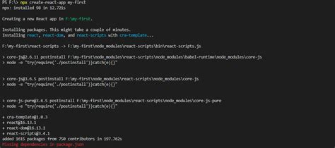reactjs error while creating a react app using create react app images