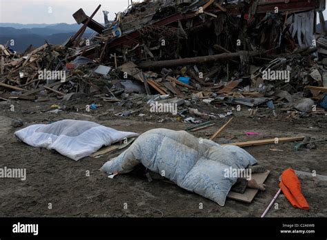 Recovery Of Bodies Of The Victims By Fire Fighters After The Great