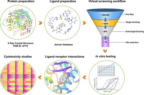overall workflow of the structure based virtual screening based