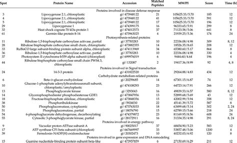 Identification Of Differentially Upregulated Proteins In Wheat