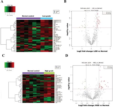 Hierarchical Clustering Heat Map Showing Differential Mirna Expression