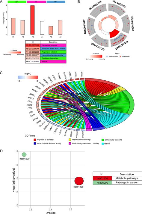 go enrichment and pathway analysis of degs in er positive breast