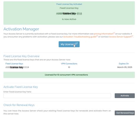 activation access server admin guide openvpn