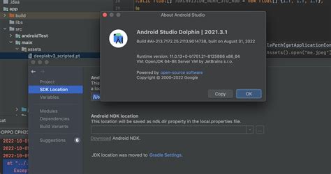 tutorial provided torch model to android app failed vision pytorch