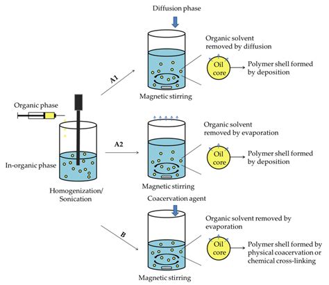 Schematic Representation Of Nanocapsule Formulation By Nanoemulsion