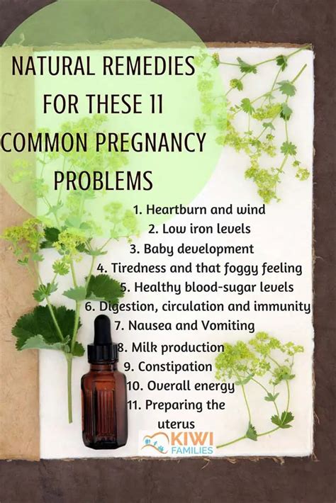11 Natural Remedies For Common Pregnancy Problems Kiwi Families