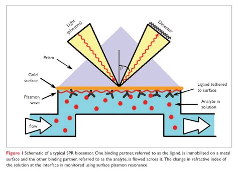Surface Plasmon Resonances Impact On Drug Discovery Resolution