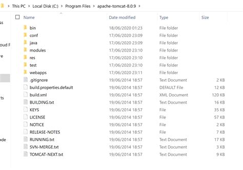 tomcat8 netbeans 12 on windows won t let me connect