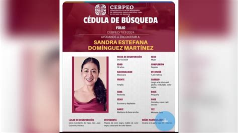 Persona Detenida Con Celular De Sandra Domínguez Activista