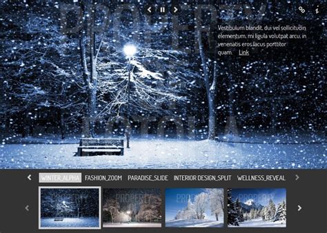 jquery multitransition gallery sliders collection by tean