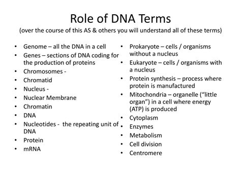 Ppt Dna Structure And Function Powerpoint Presentation Free Download