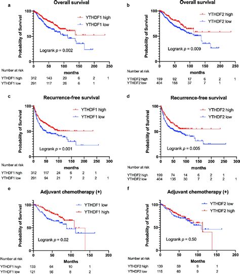 Survival Curves According To Ythdf1 And Ythdf2 Expression In Patients