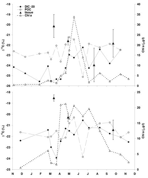 Temporal Variations In Mantle Tissue δ 13 C δ 13 C Poc δ 13 C Dic 20