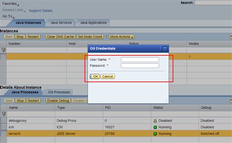 enable debug in sap netweaver as java
