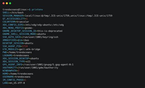 how to set environment variables in linux trend oceans