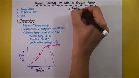 Factors Affecting Enzyme Activity Class 9 Igcse Enzymes Youtube