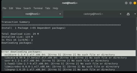[errno 5] [errno 2] no such file or directory xilenox blog