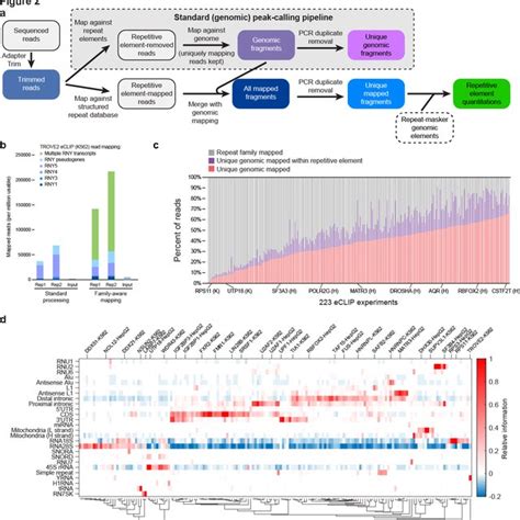 Eclip Enrichment For Rrna Links Rbps With Ribosomal Rna Processing A